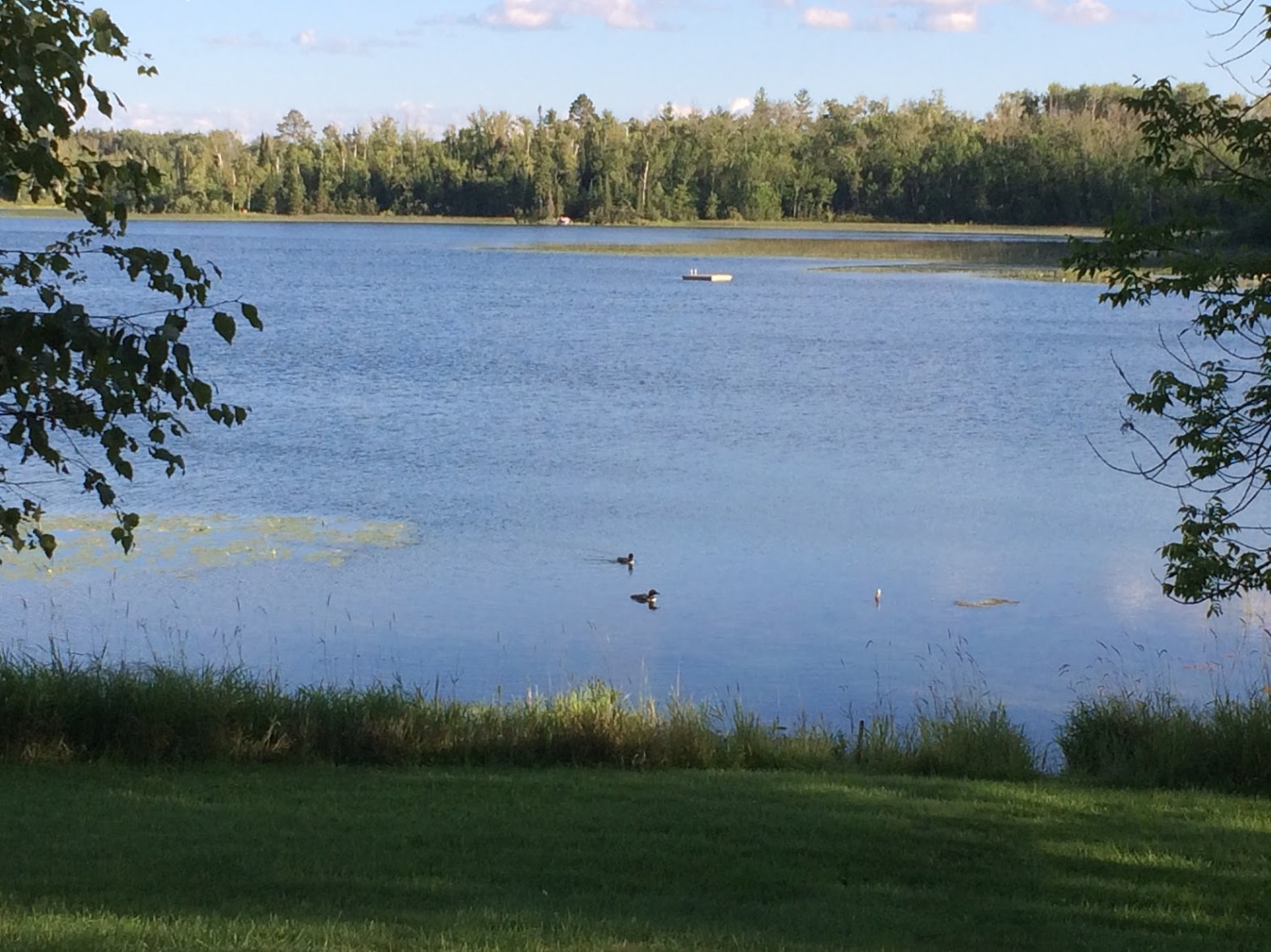 Baby Lake – Baby, Kerr, Kid, Lost, Man & McKeown Lakes Association